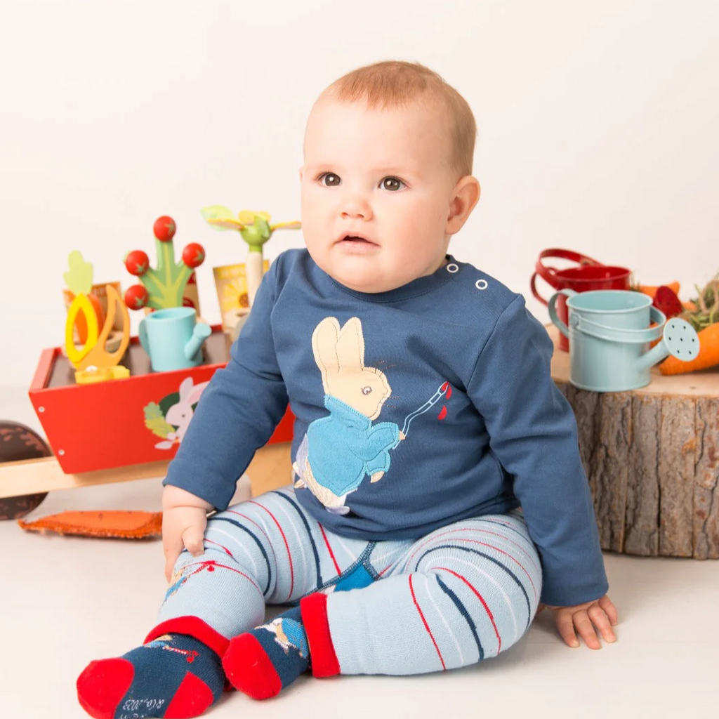 Peter Rabbit Fun With Paint Top – babygrow.ie